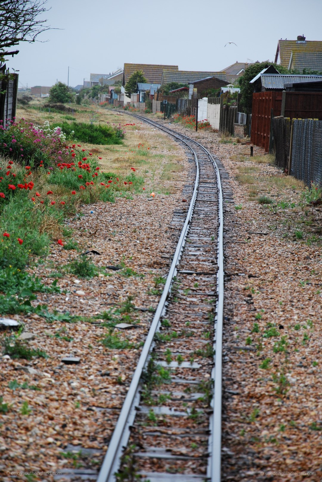 Romney, Hythe & Dymchurch Railway - Narrow track in the marsh